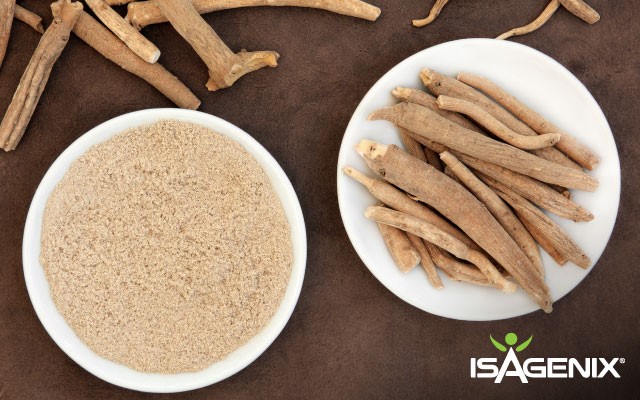 Ingredient Spotlight: Eleuthero - Isagenix Health