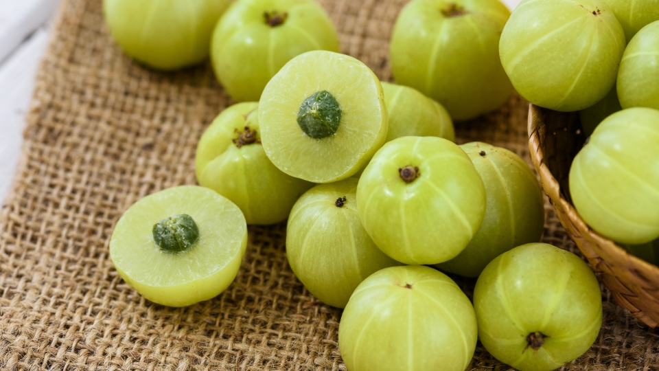 Ingredient Spotlight: Amla - Isagenix Health